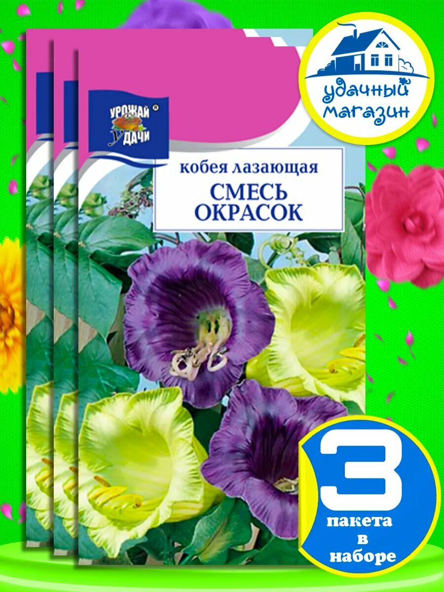 Семена кобеи Урожай Удачи, смесь окрасок, многолетник, 3 пакета