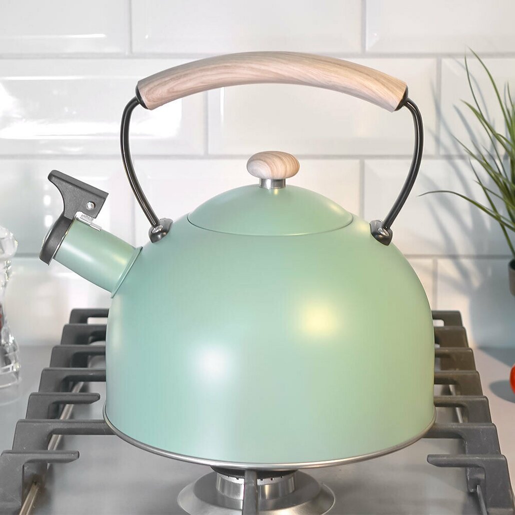 Чайник со свистком 3л K-B019, матовый светло-зелёный, сталь, индукционное дно