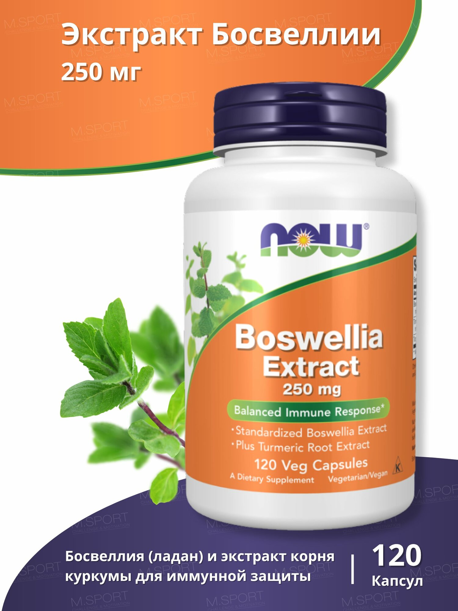 Now Foods Экстракт босвеллии Boswellia Extract 250 мг, 120 вег. капсул