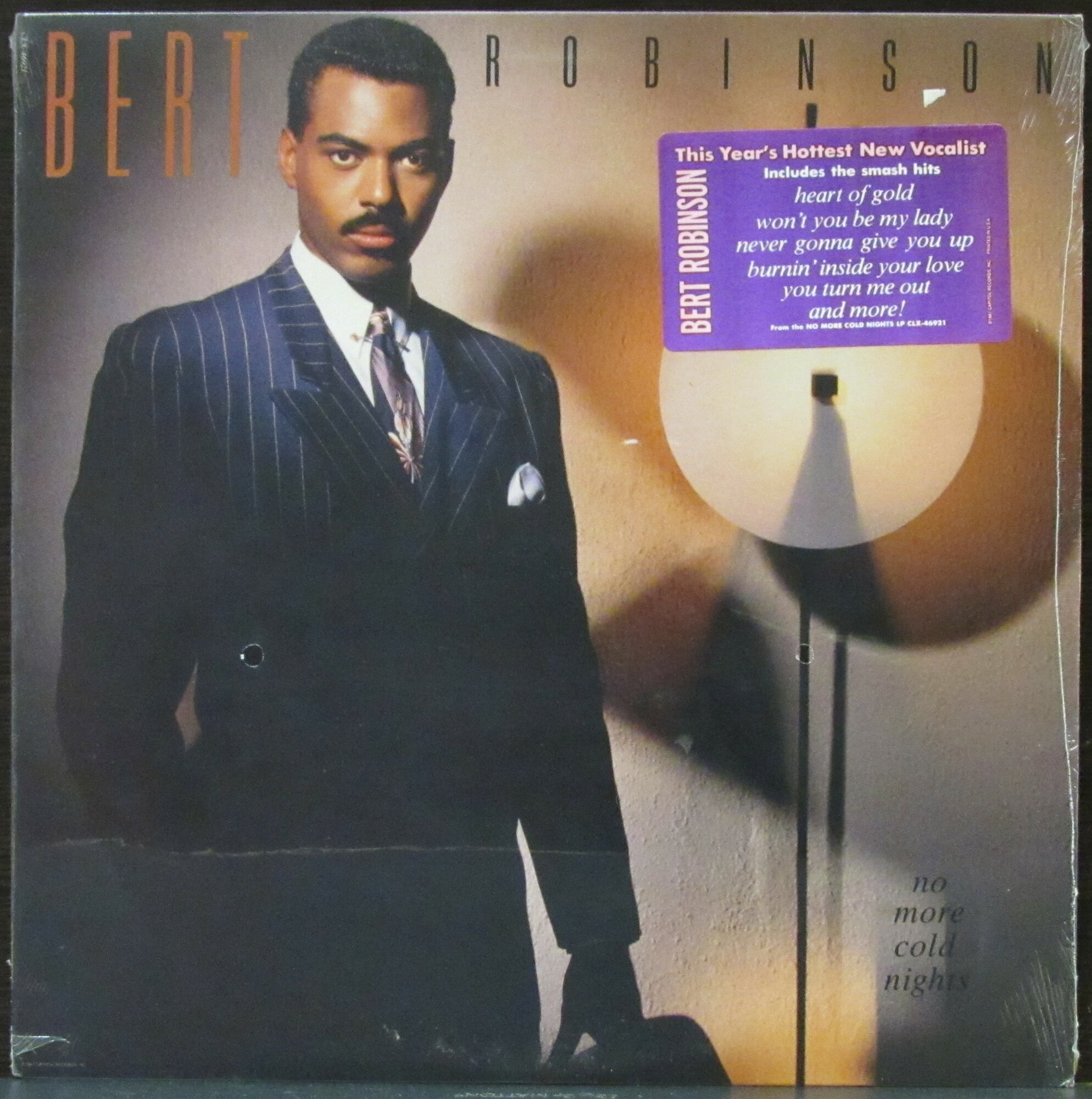 Robinson Bert "Виниловая пластинка Robinson Bert No More Cold Nights"