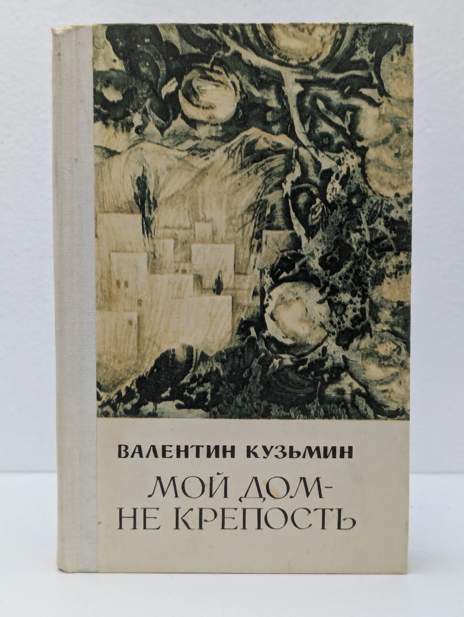 Мой дом - не крепость Кузьмин Валентин Григорьевич 1980