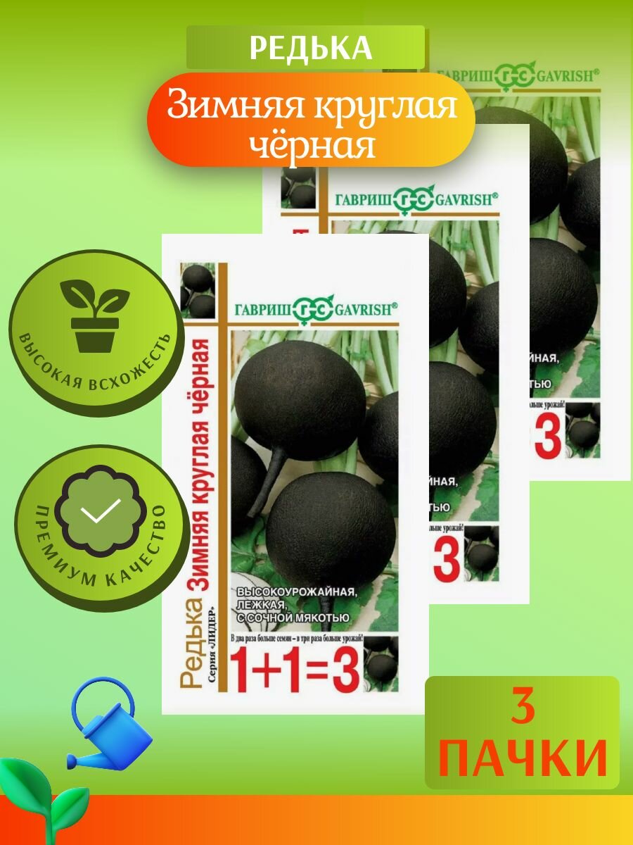 Редька Зимняя круглая чёрная серия 1+1 цв. п 2г (комплект из 3 пачек) Гавриш