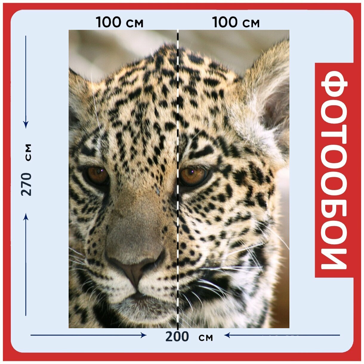 Фотообои "Леопард, кот, животное" 200x270 см. флизелиновыена стену