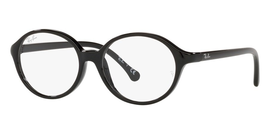Оправы Ray-Ban RY 1901F 3833 48