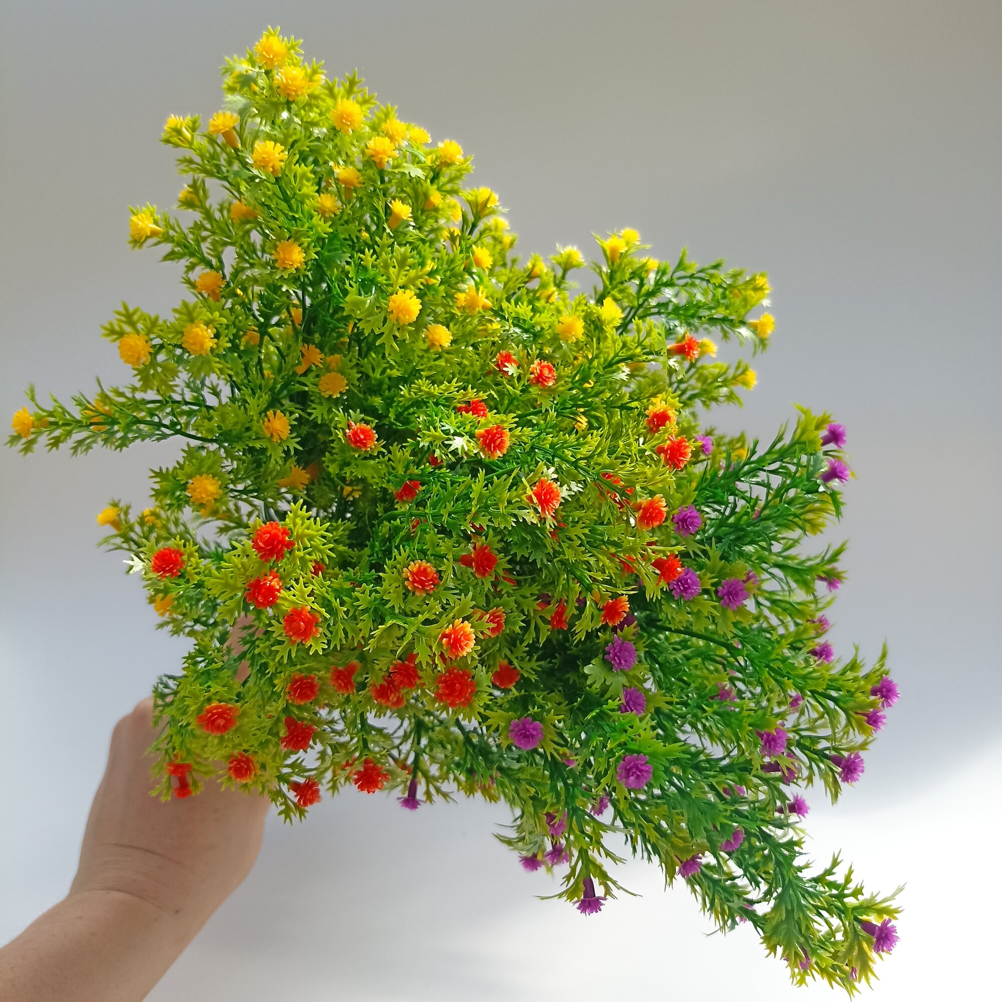 Гипсофила "Для декора" 5 штук