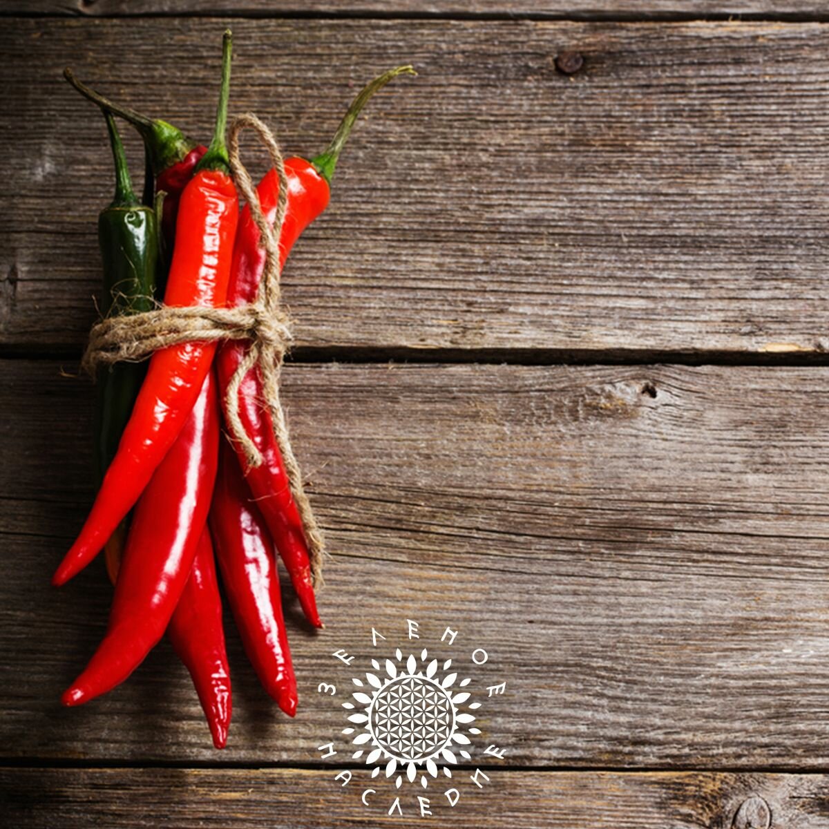 Семена Перец Cayenne thick (лат. Capsicum annuum) 15шт Зеленое Наследие