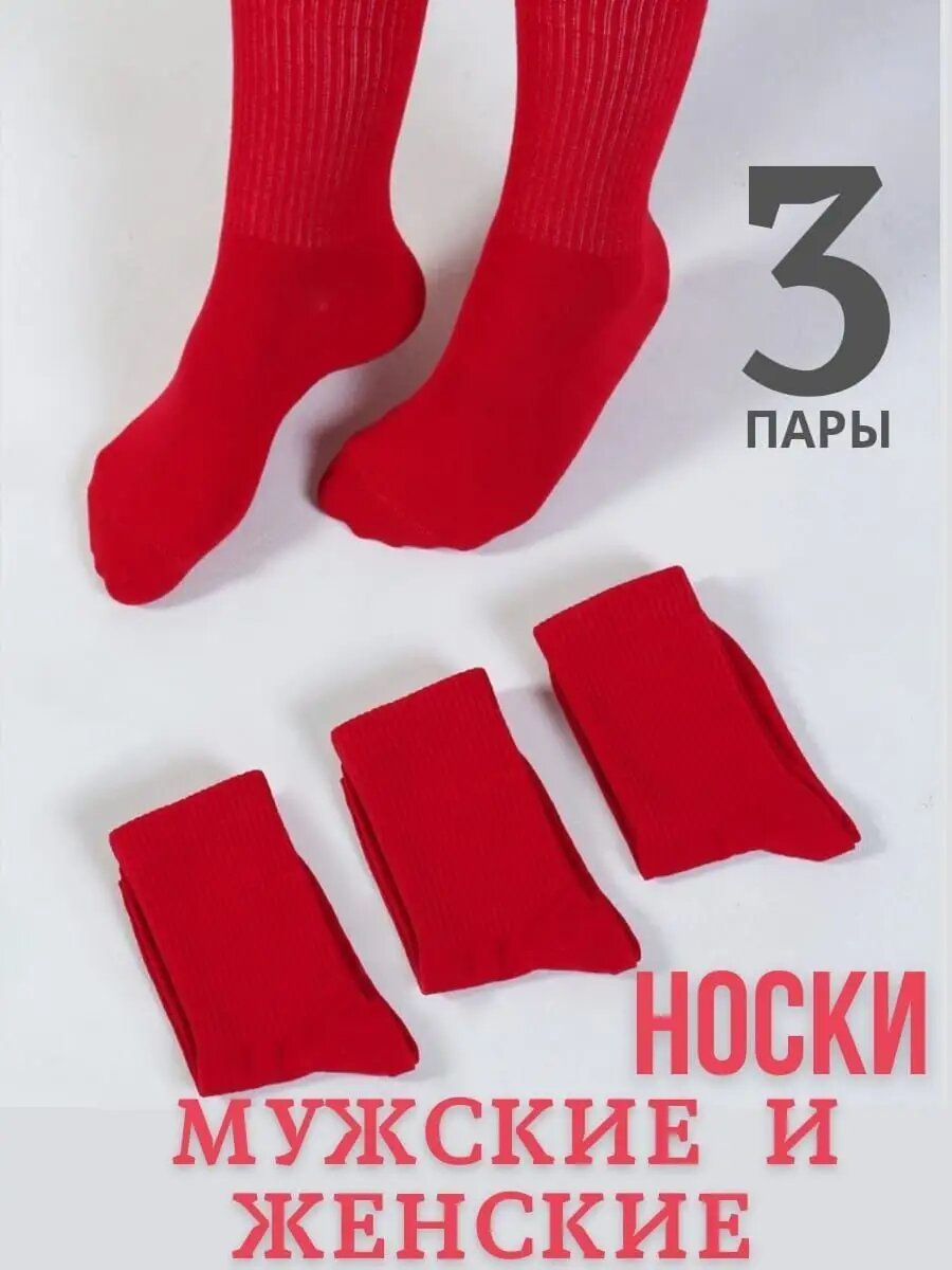 Носки  базовая