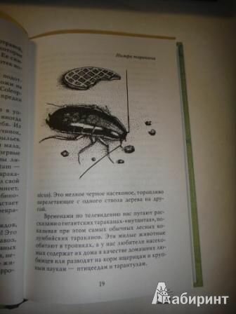 Новые письма насекомых — фото 1