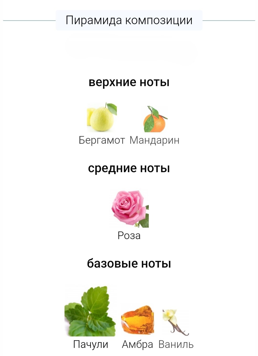 Духи ручной работы по мотивам 'Midnight Poison', для женщин. — фото 1