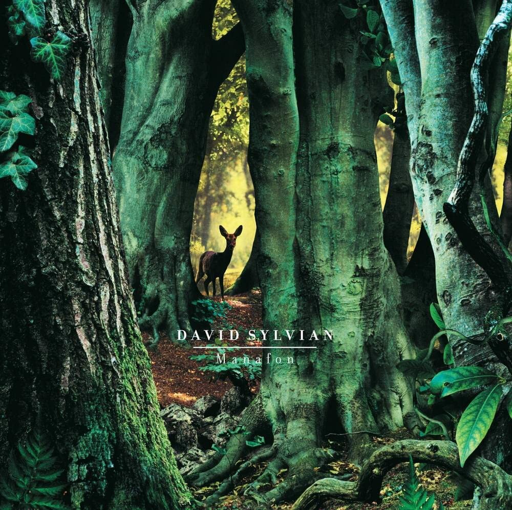 DAVID SYLVIAN Manafon (2LP)