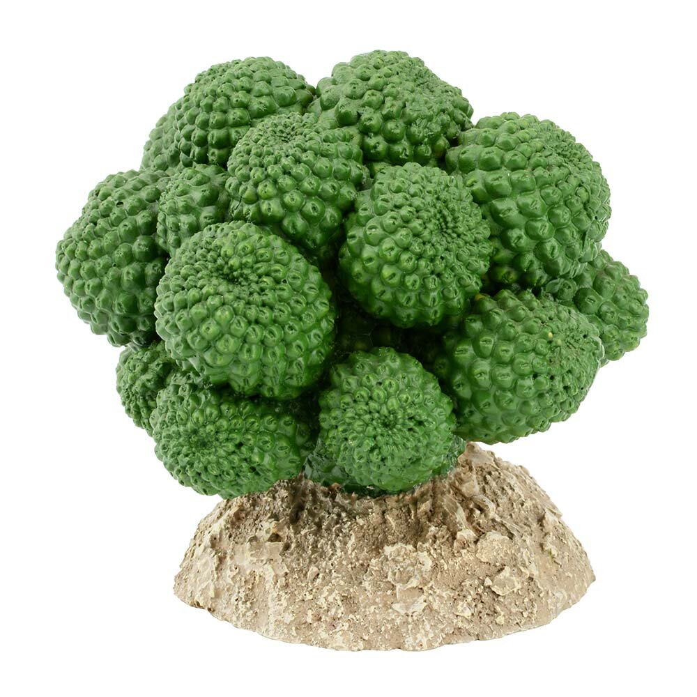 Растение пластиковое Gloxy Монантес, 8,5х8,5х8,5 см