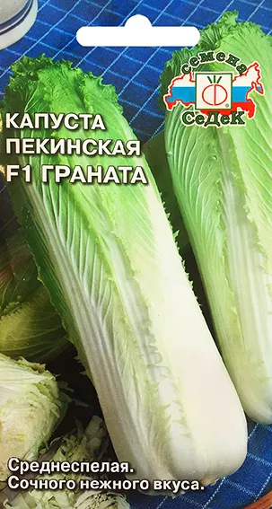 Семена капусты пекинской СеДеК "Граната F1", среднеспелые, 1г