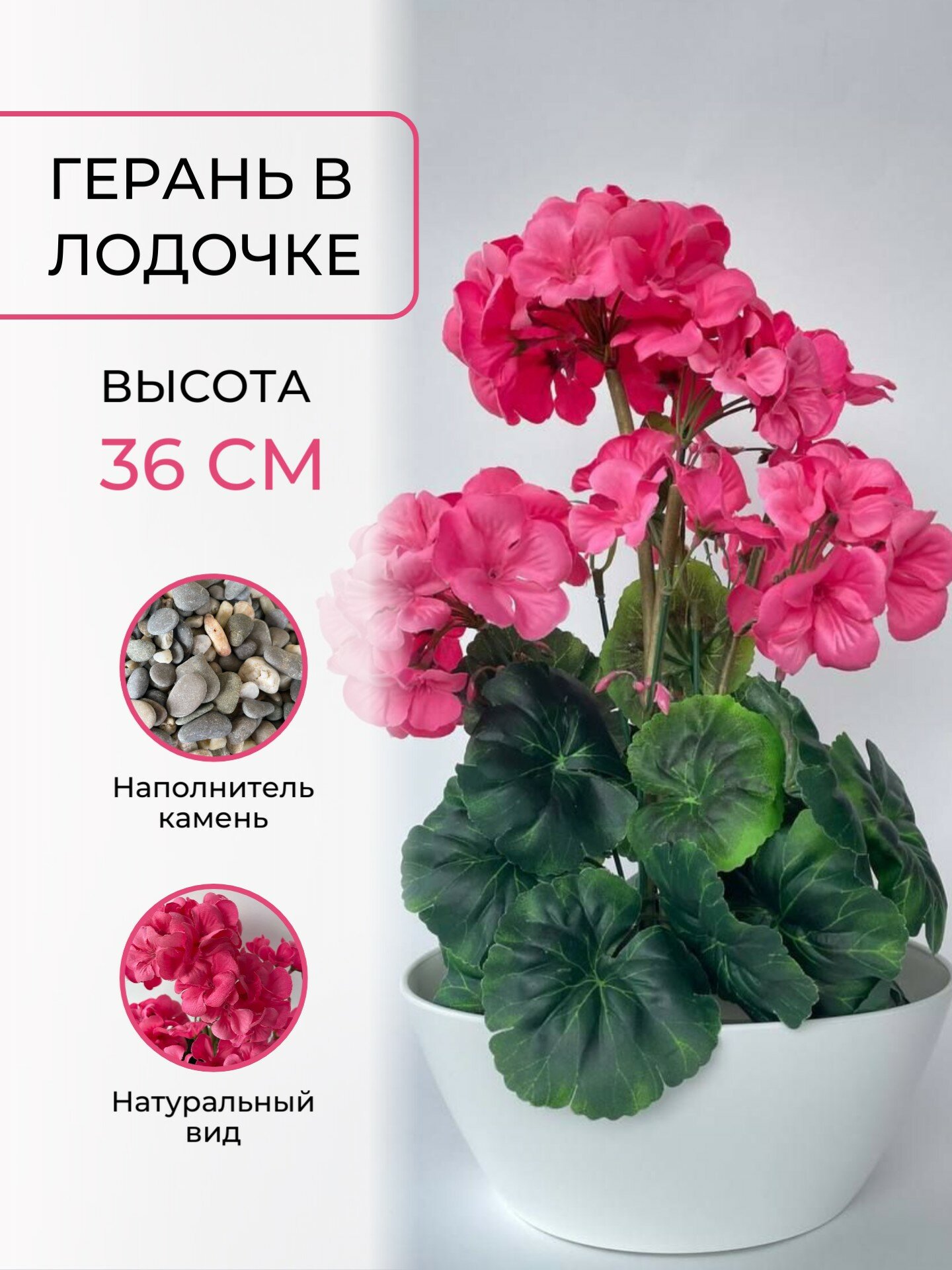 Герань в лодочке 1 шт