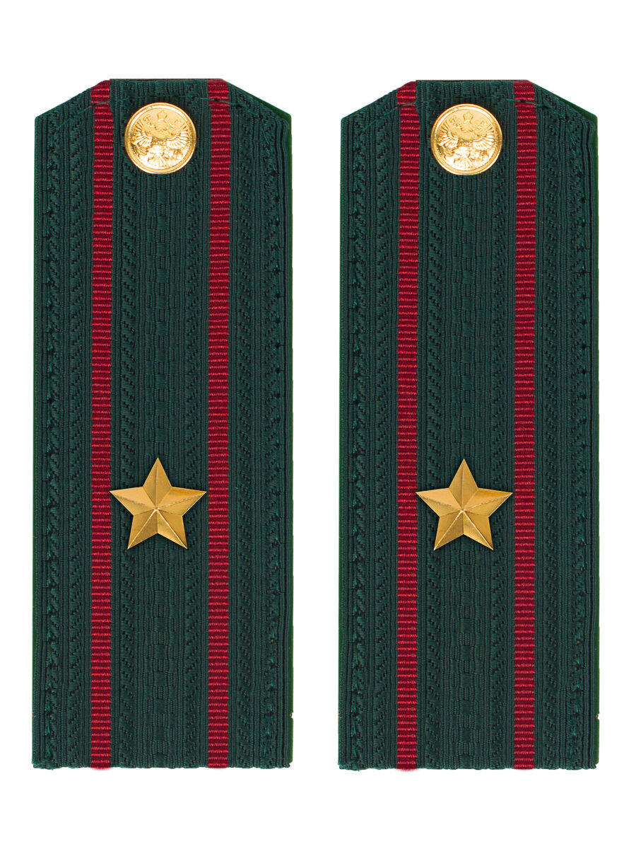 Погоны Росгвардии Фсвнг на китель 14х5 см Пластик звание Майор