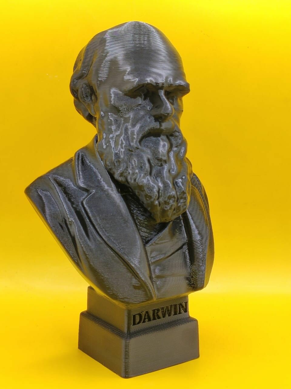 Статуэтка - Чарльз Роберт Дарвин