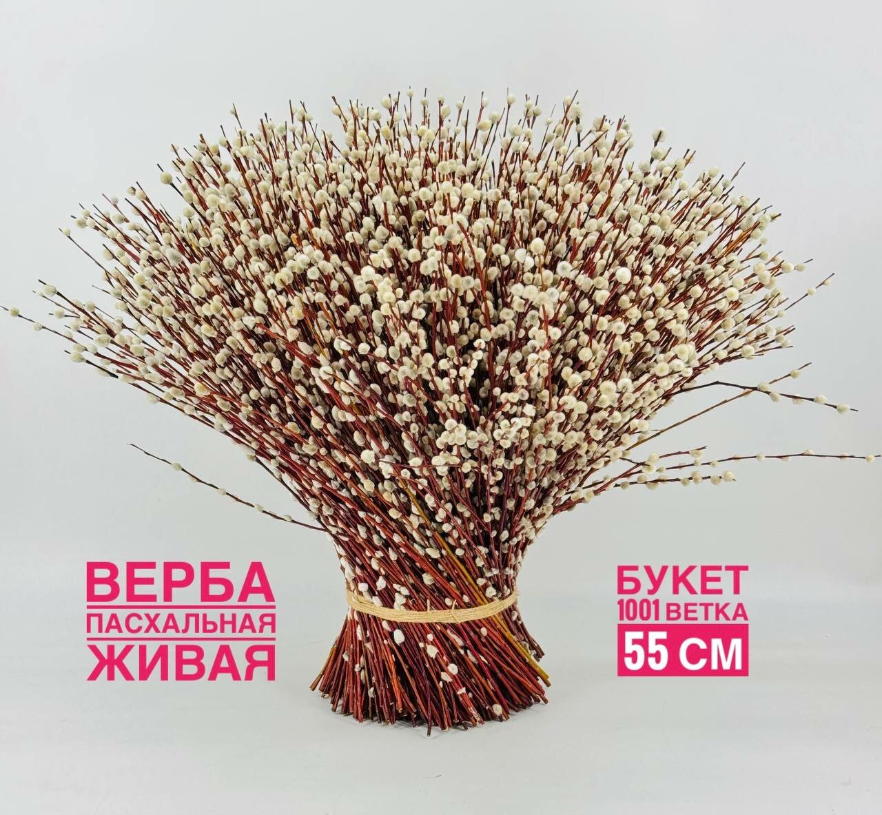 Огромный букет 1001 верба. Букет из вербы. Живая верба