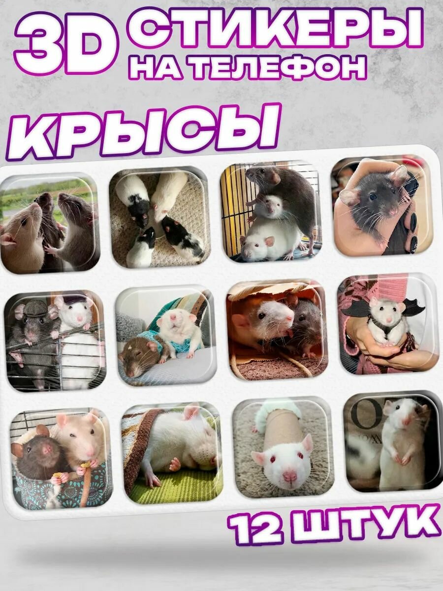3D стикеры на телефон крысы