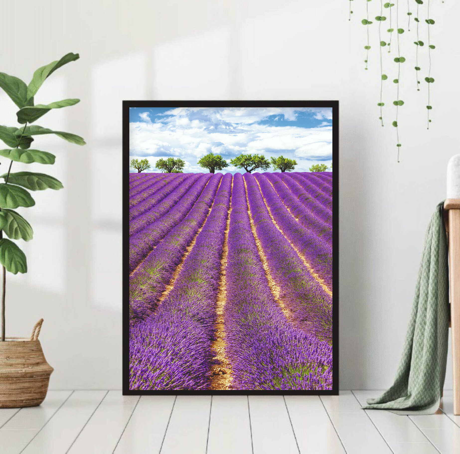 Постер "Поле лаванды" 50x70 в черной рамке на стену для интерьера