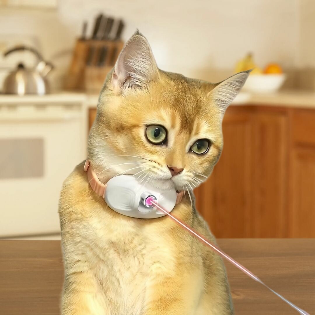 Лазерный ошейник для кота уникальный и забавный кошачий артефакт для вашего питомца