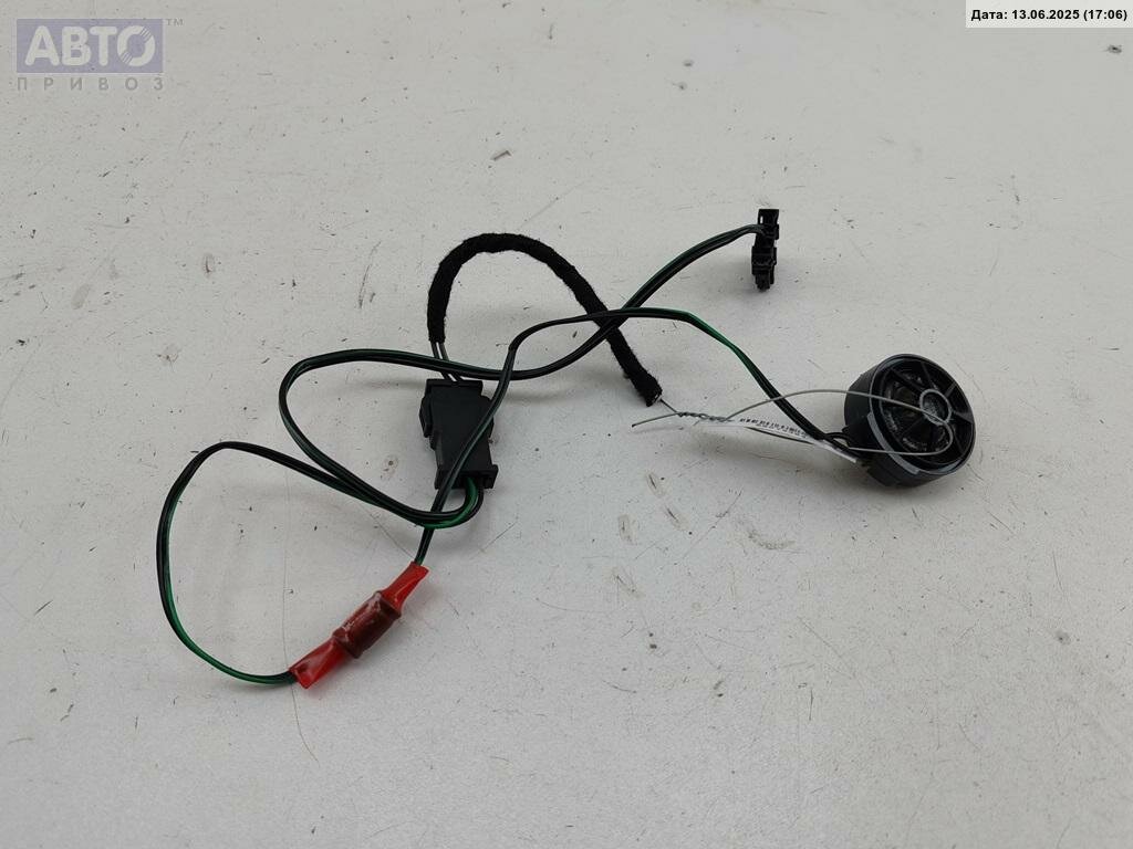 Динамик высокочастотный (пищалка) Audi A6 C5 (1997-2005)