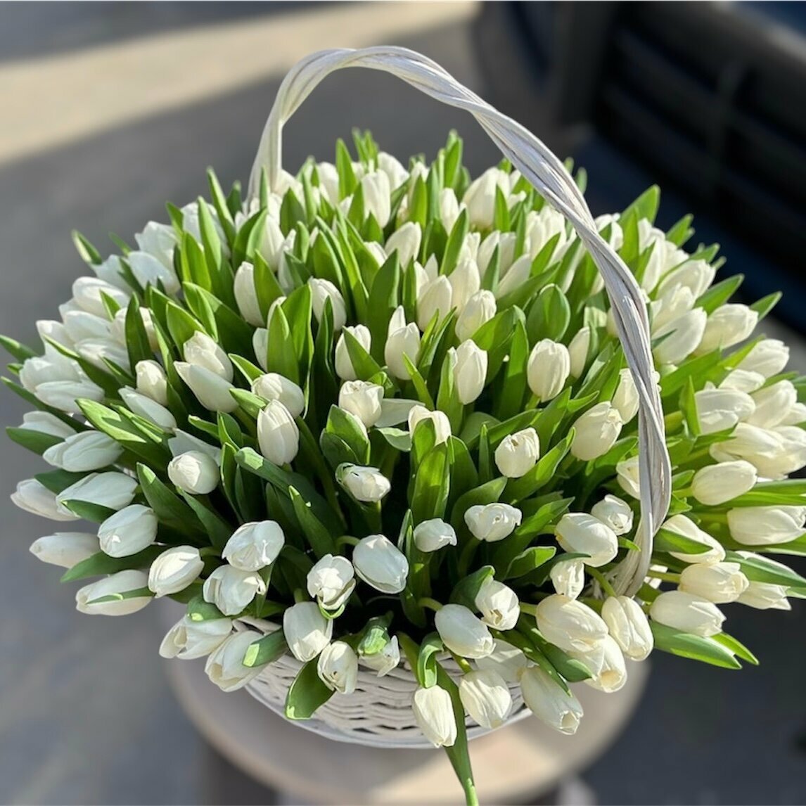 Букет из белых тюльпанов 201 шт в корзине, красивый букет цветов, шикарный, премиум цветы, премиум букет