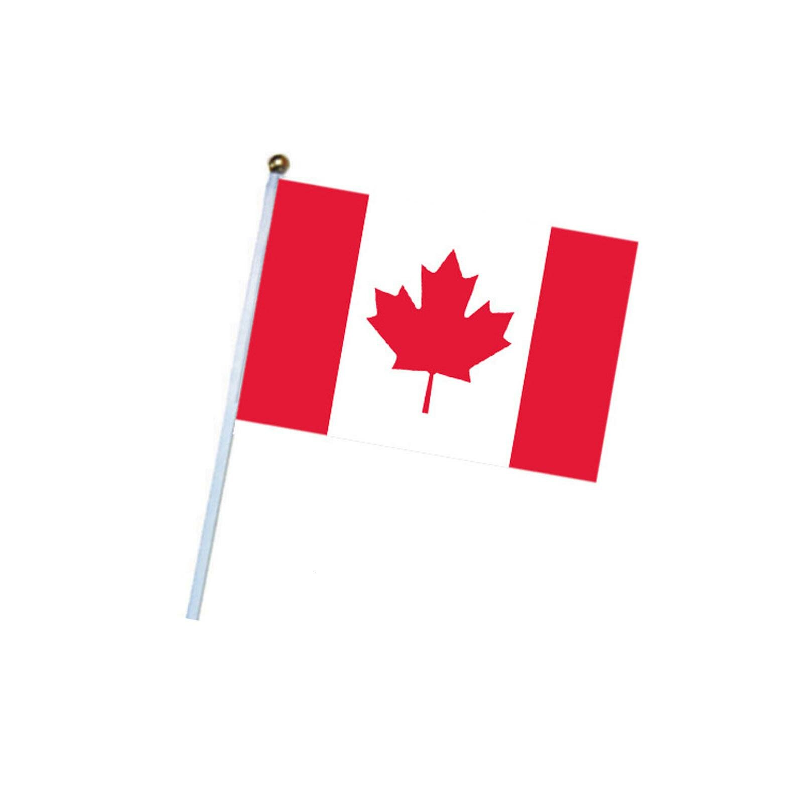 Флаг ручной работы 50peeces для фанатов футбола и футбола приветствует празднование свинга, - Канада 22