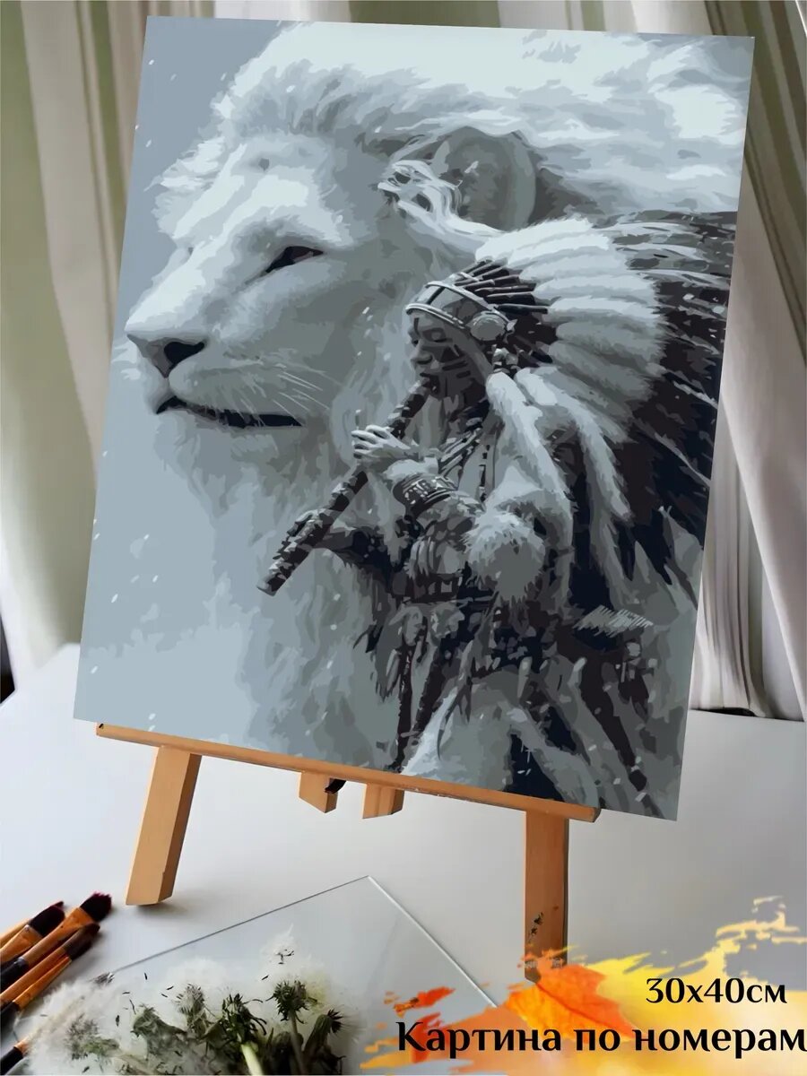 Картина по номерам индеец