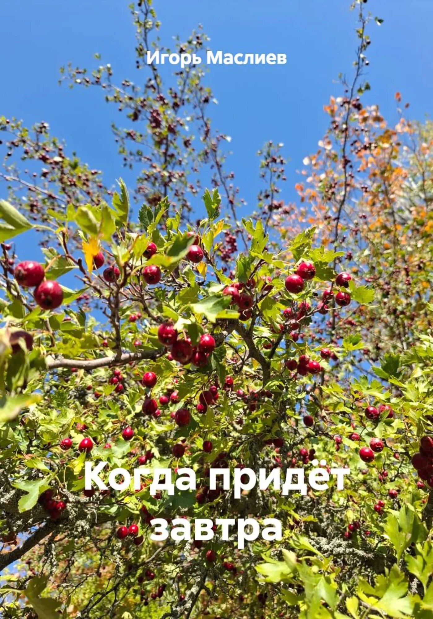 Когда придёт завтра [Цифровая книга]