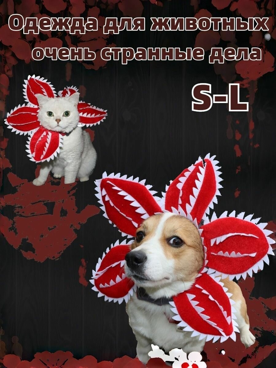 Одежда для животных