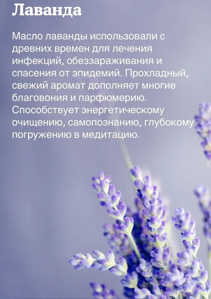 Сухоцветы Лаванда, 30 см, 50 гр, 1 шт