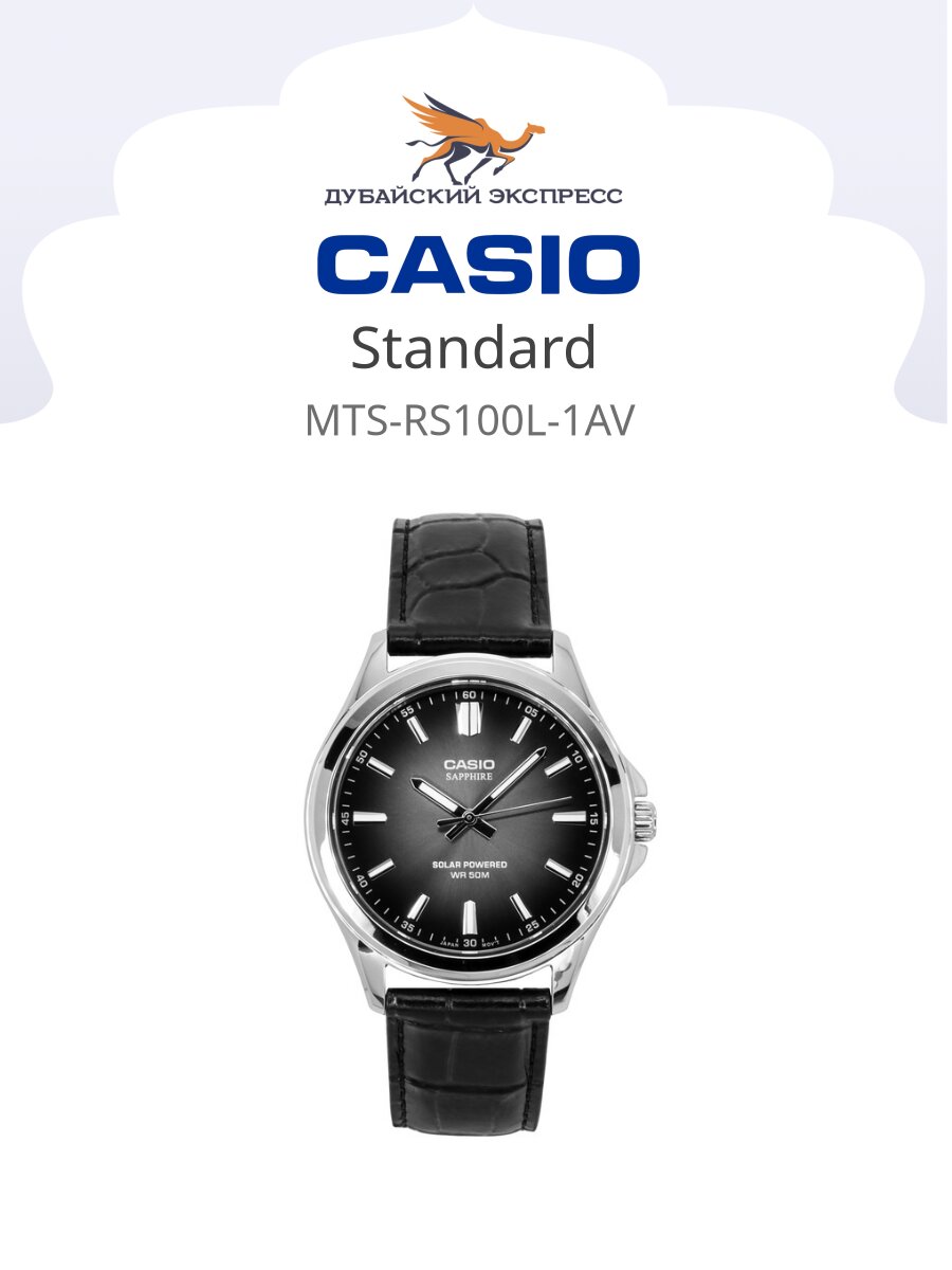  CASIO