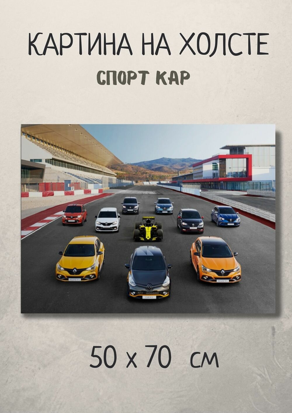 Фотокартина на холсте 70х50 с множеством автомобилей "Линейка машин Рено"