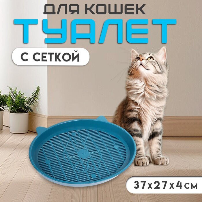 Туалет для кошек Киса, 37×27×4 см, с сеткой, пластик, синий