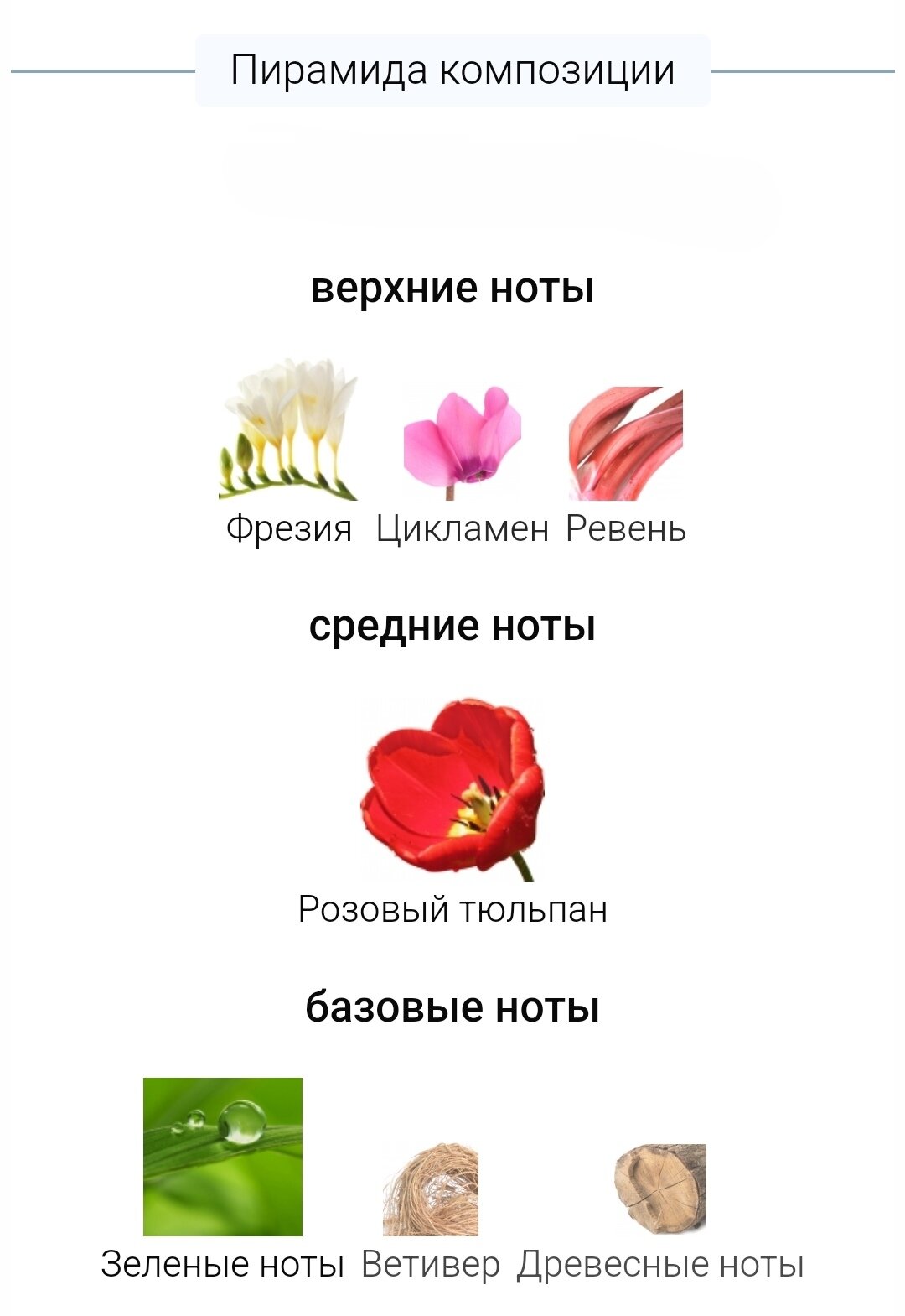 Духи ручной работы по мотивам 'La Tulipe', для женщин Lu Parfume — фото 1