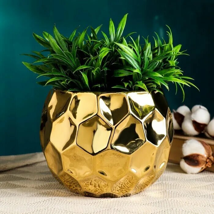 Роза с шипамиКашпо, 2.5 л, 1 шт