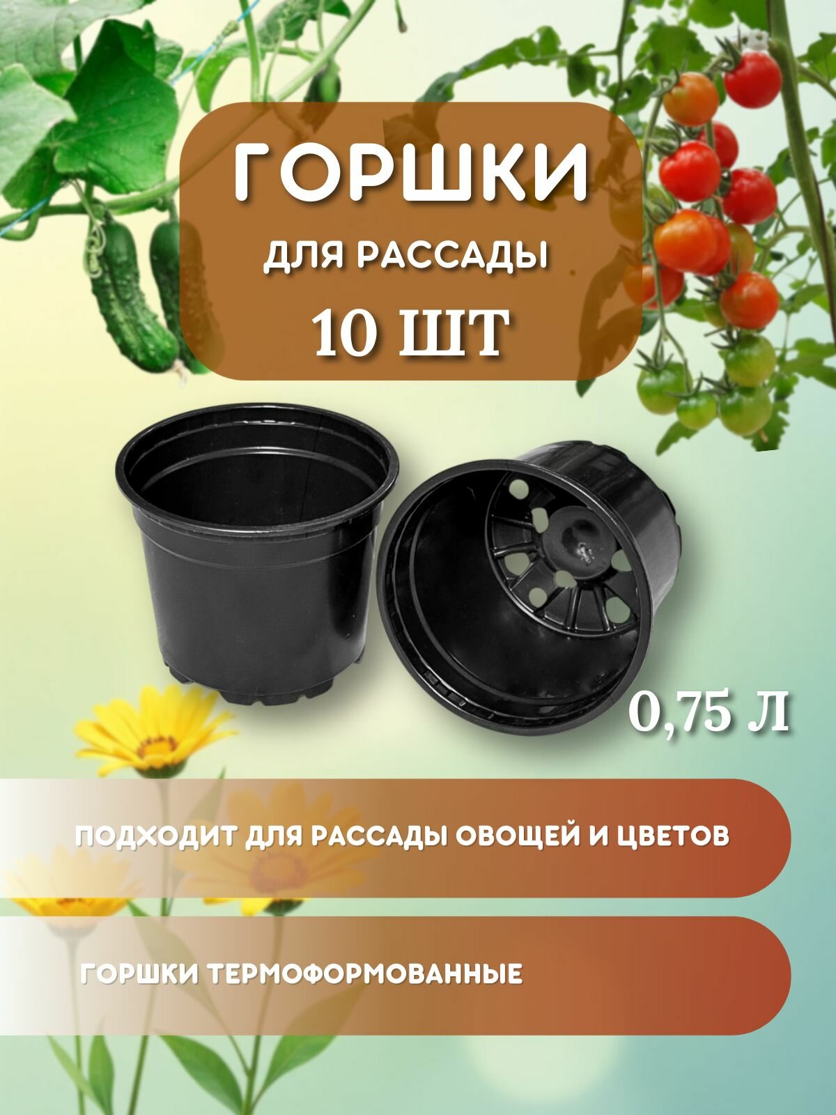 Горшки для рассады, термоформованные