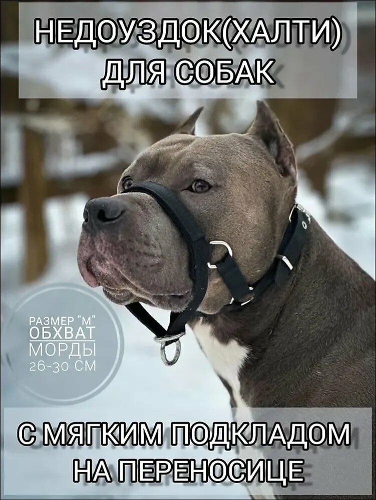 Недоуздок(халти) TESLA COLLAR для собак "M"