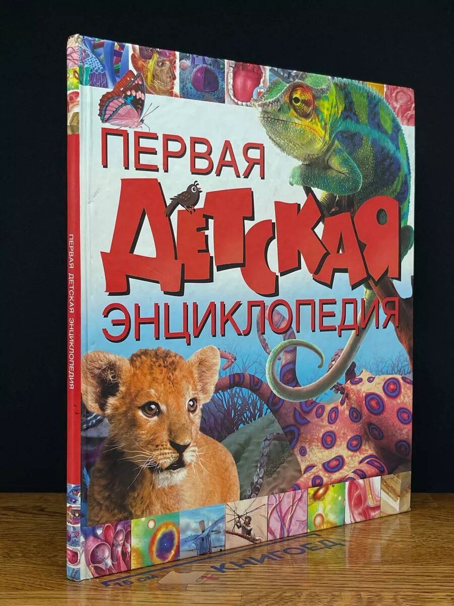 Книга. Первая детская энциклопедия 2013 (2039787101967)