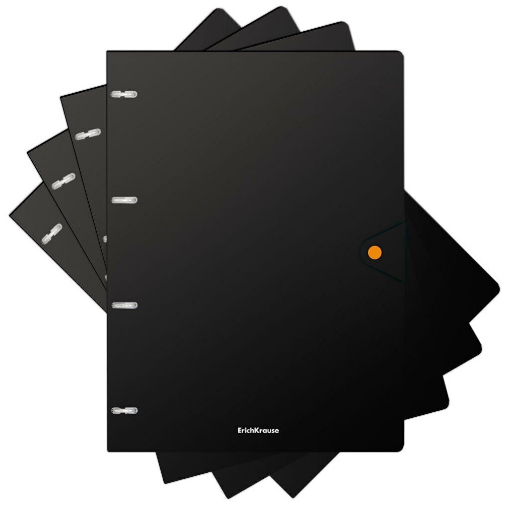 Тетрадь общая в клетку на кольцах Accent А4 80л. ErichKrause