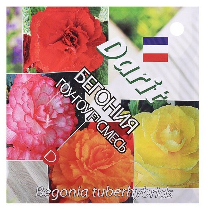 Семена цветов Бегония 'Гоу-гоу' смесь, клубневая, Мн, 6 шт