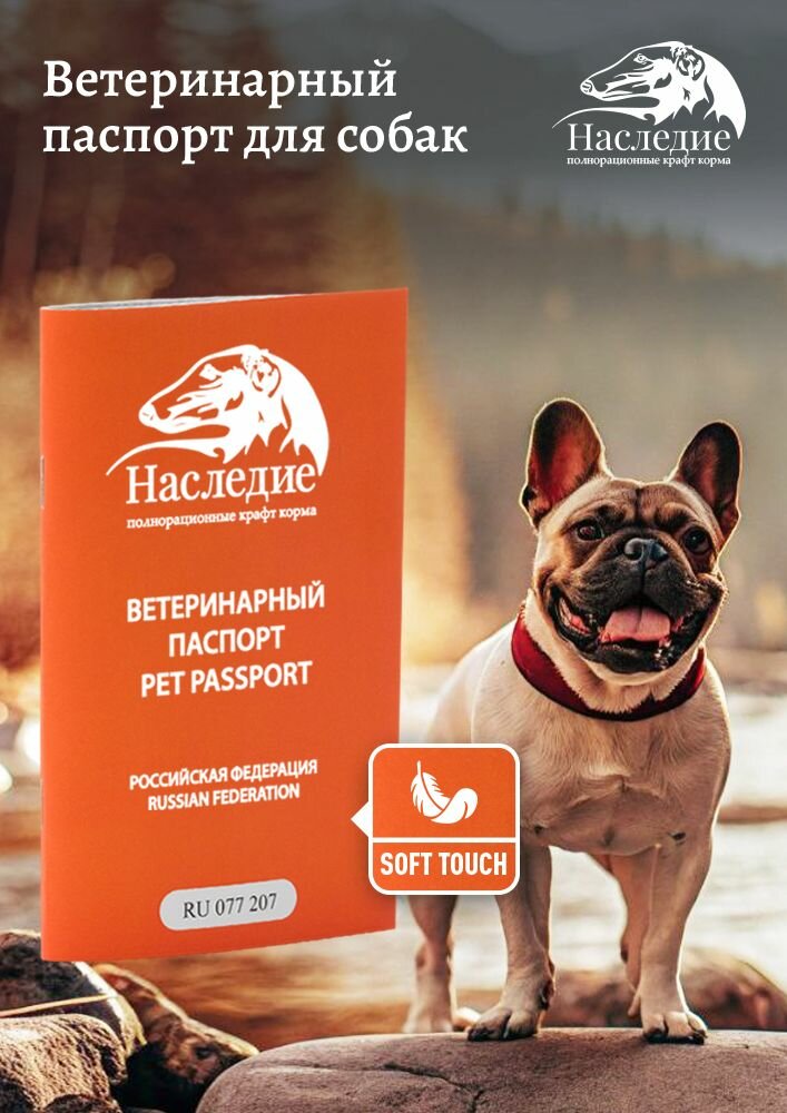 Ветеринарный паспорт для собак. Международный.