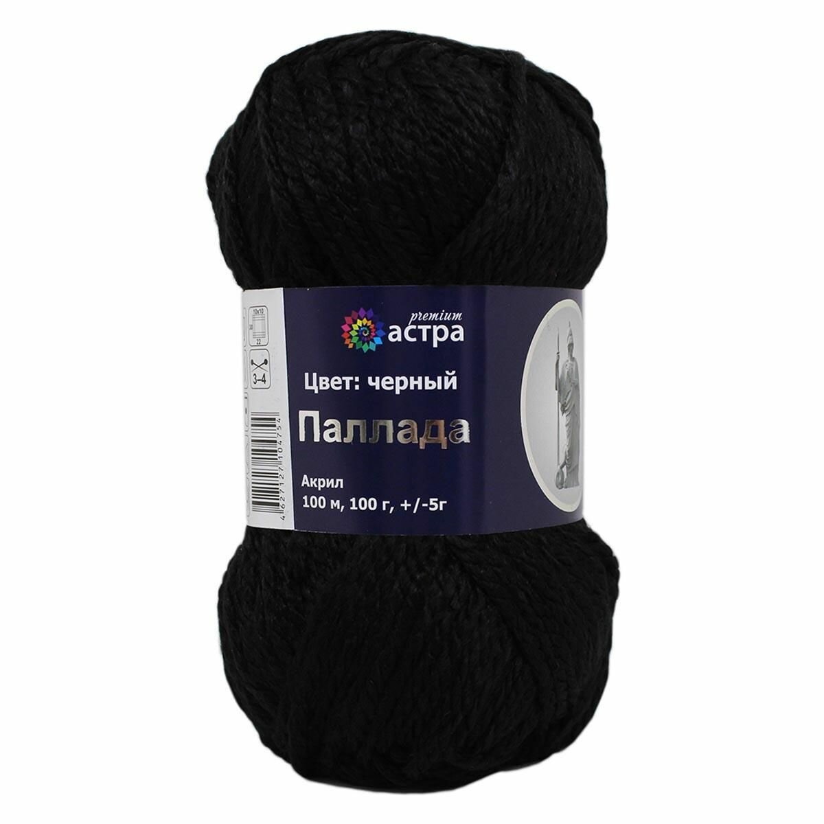 Пряжа Astra Premium "Паллада", 100 гр 100 м, 100% акрил, 02 черный, 3 шт
