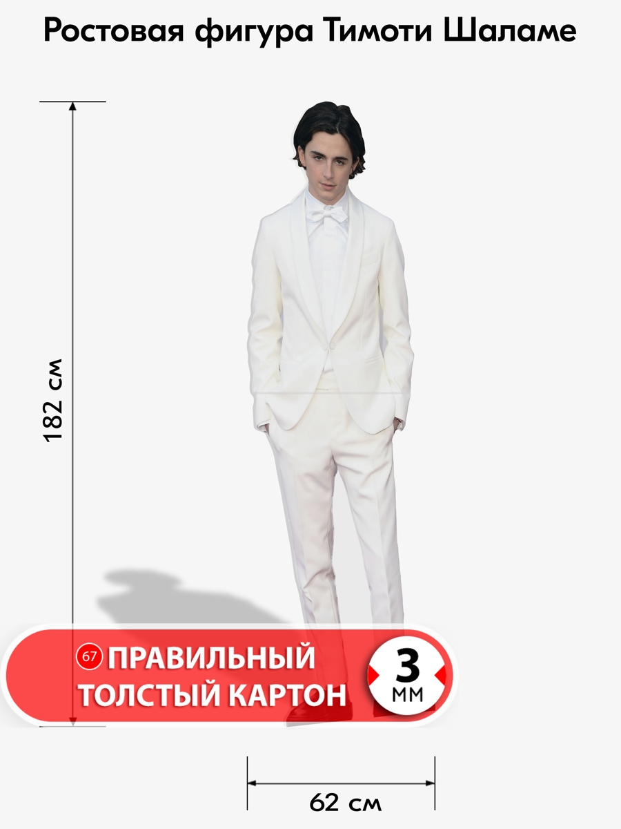Аксессуар для фотосессий, Тимоти Шаламе 3, ростовая фигура бренда "Самое это"