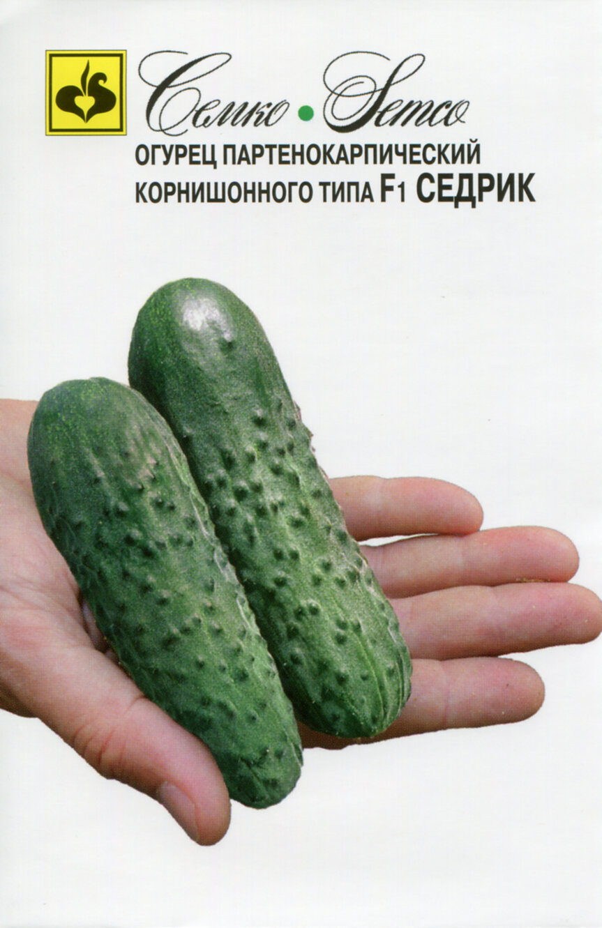 Семена Огурец Седрик F1 10шт Партенокарпический Ранние (Семко)