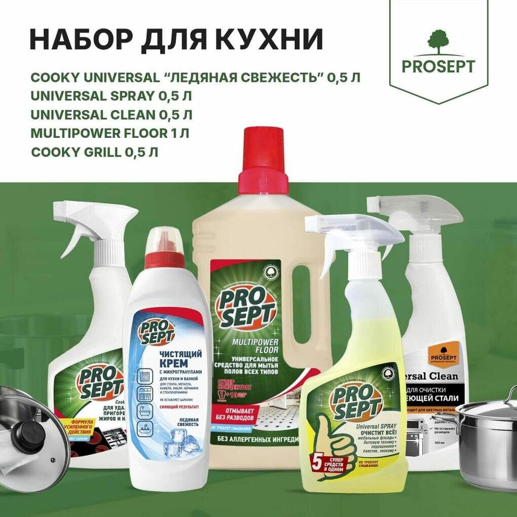 Набор бытовой химии Prosept №2 для кухни (5шт)