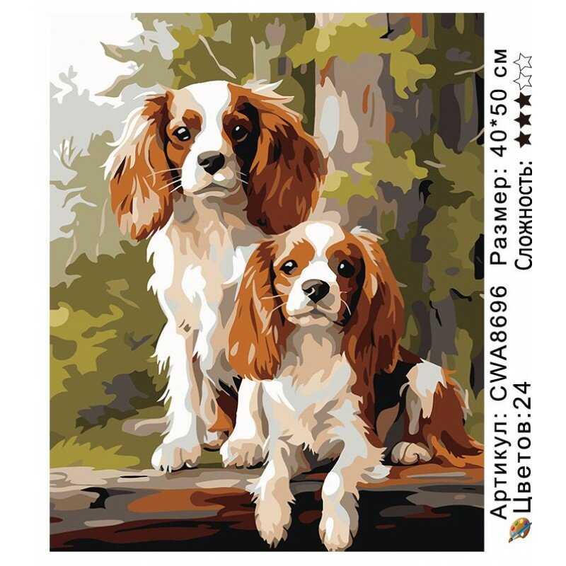 Картина по номерам Paintboy CWA8696, холст на подрамнике, 40x50 см