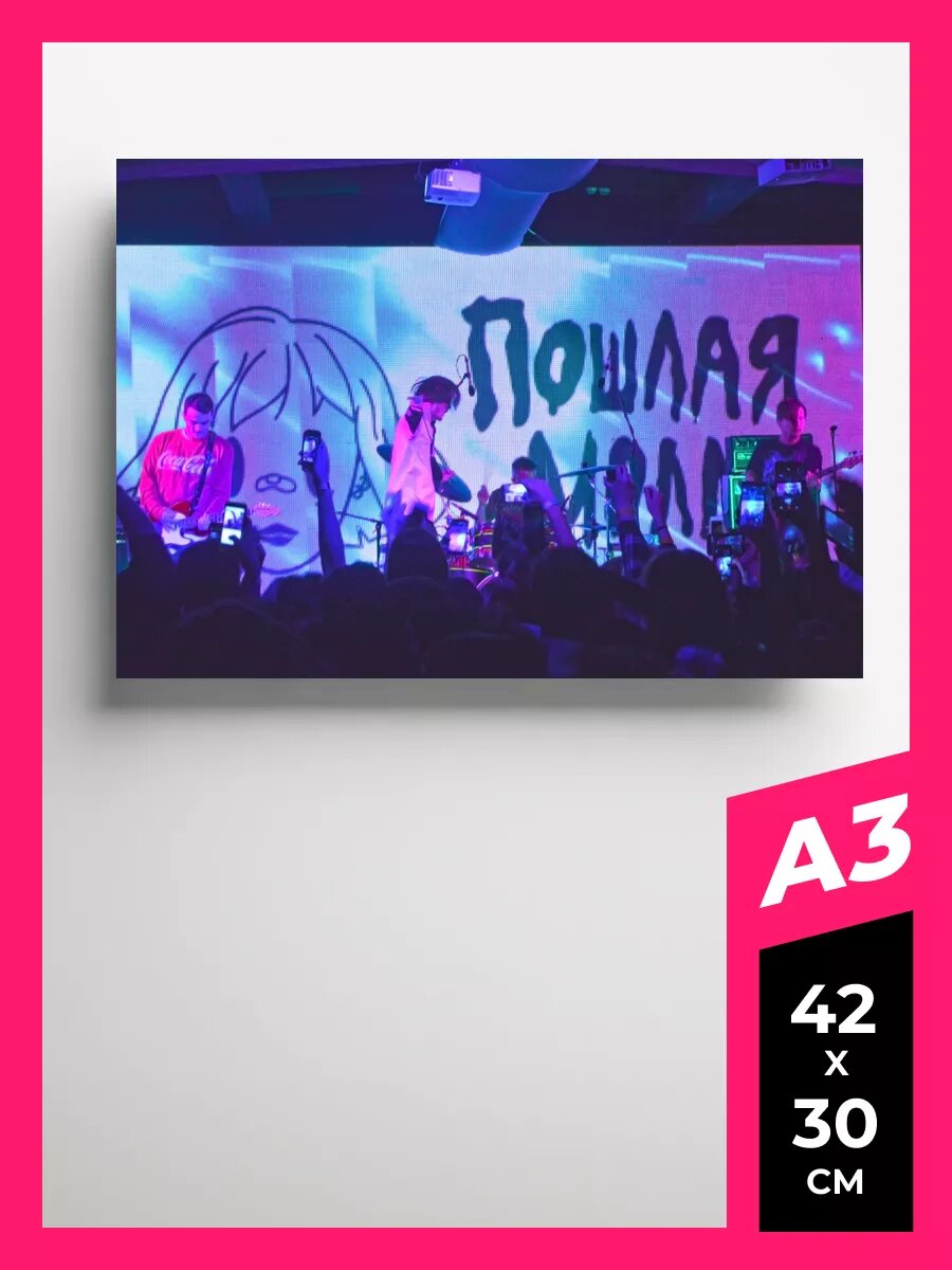 Постер Пошлая Молли плакат на стену А1, А2, А3, 50 на 70 16, матовая фотобумага премиум качества