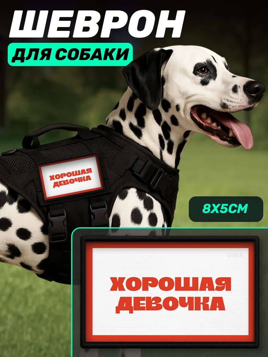 Шеврон на шлейку для собак Хорошая девочка