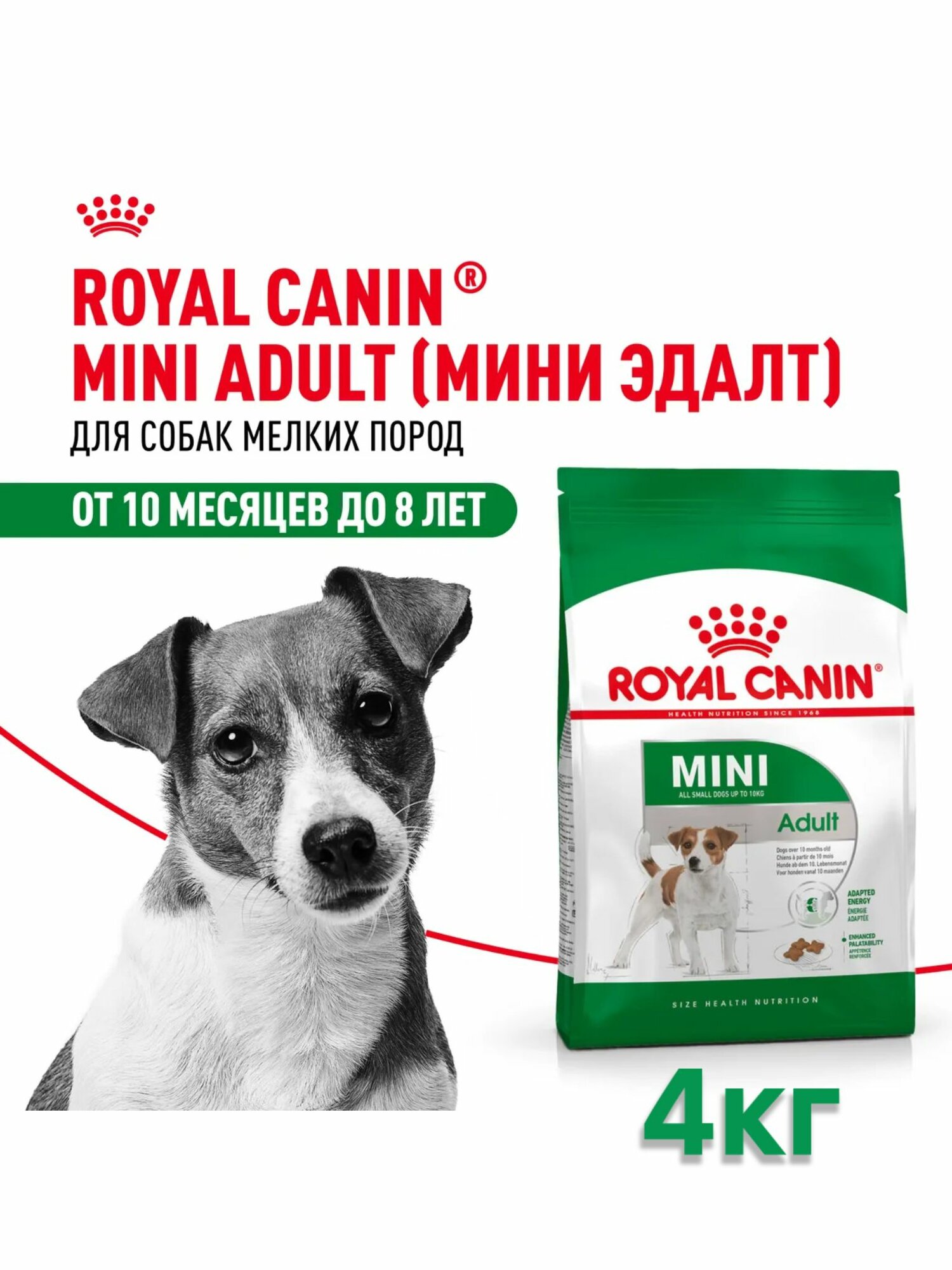 Корм для собак для мелких пород 4кг Mini Adult, до 10 кг