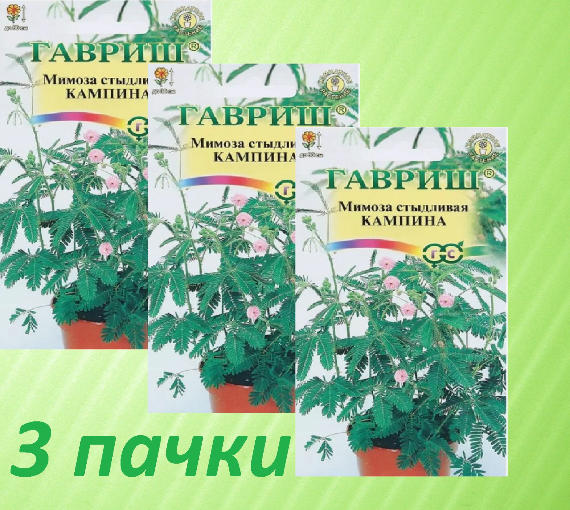 Мимоза стыдливая Кампина цв. п 0,1г (комплект из 3 пачек) Гавриш